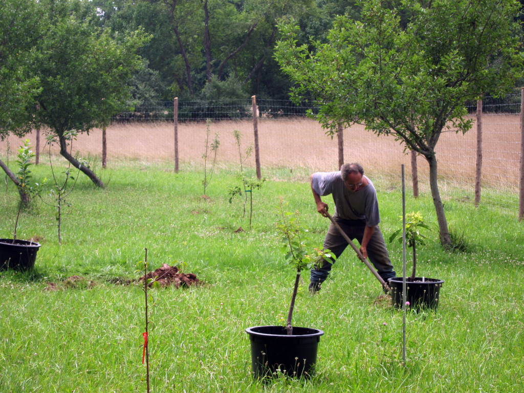 Andrew Willner -Andrew Willner