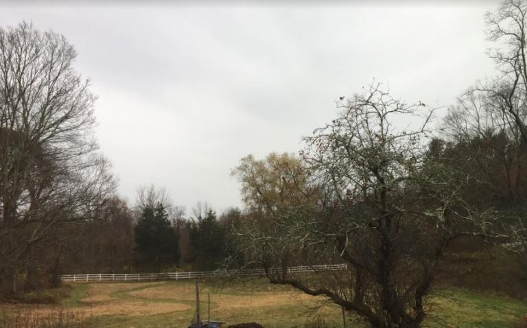 Andrew Willner -Andrew Willner